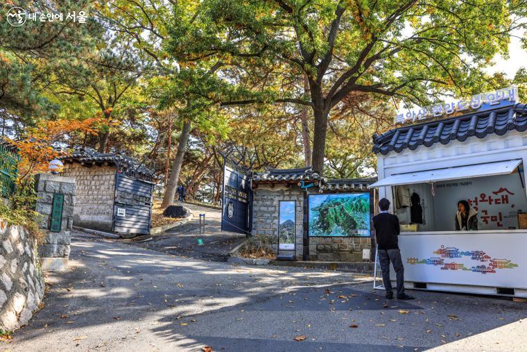 11월, 놓칠 수 없는 가을의 멋은 '이곳'에서 즐기세요! > 내 손안에 서울 > 서울이야기 > 시민소통 > 정보소통광장